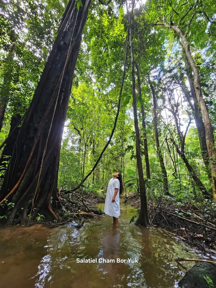 ¡CHIAPAS! ¡Un encuentro con la naturaleza y la cultura de los pueblos ...